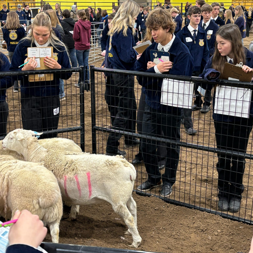 Idaho FFA Association | Established 1929