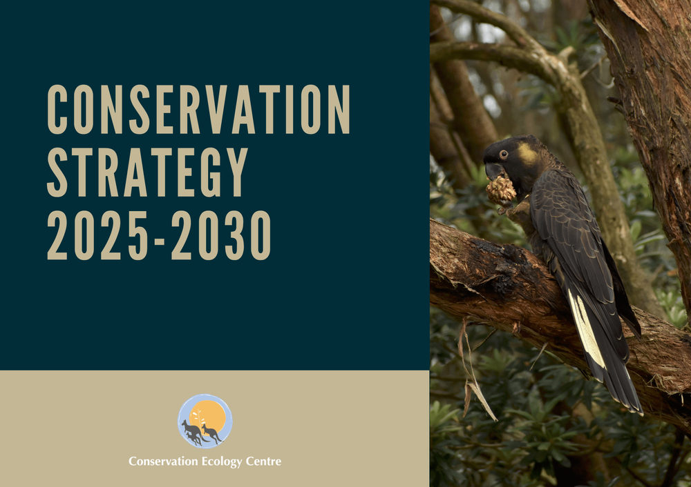 Conservation Strategy | Join Conservation Efforts Today — Conservation ...