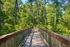 Great Bridge Battlefield | Discover Revolutionary History