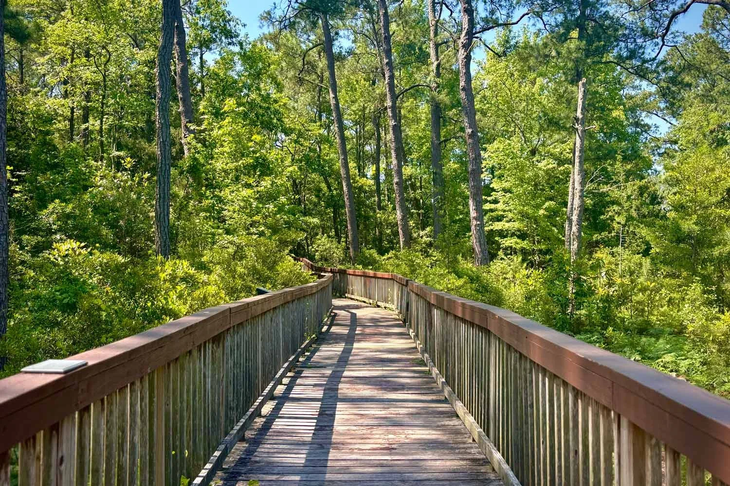 Great Bridge Battlefield | Discover Revolutionary History