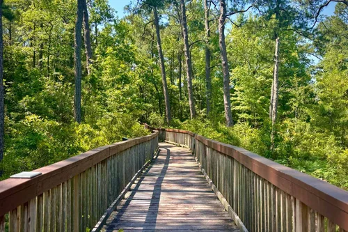 Great Bridge Battlefield | Discover Revolutionary History