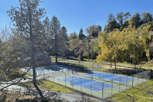 Pullman Pickleball Courts — Studio+ Architects