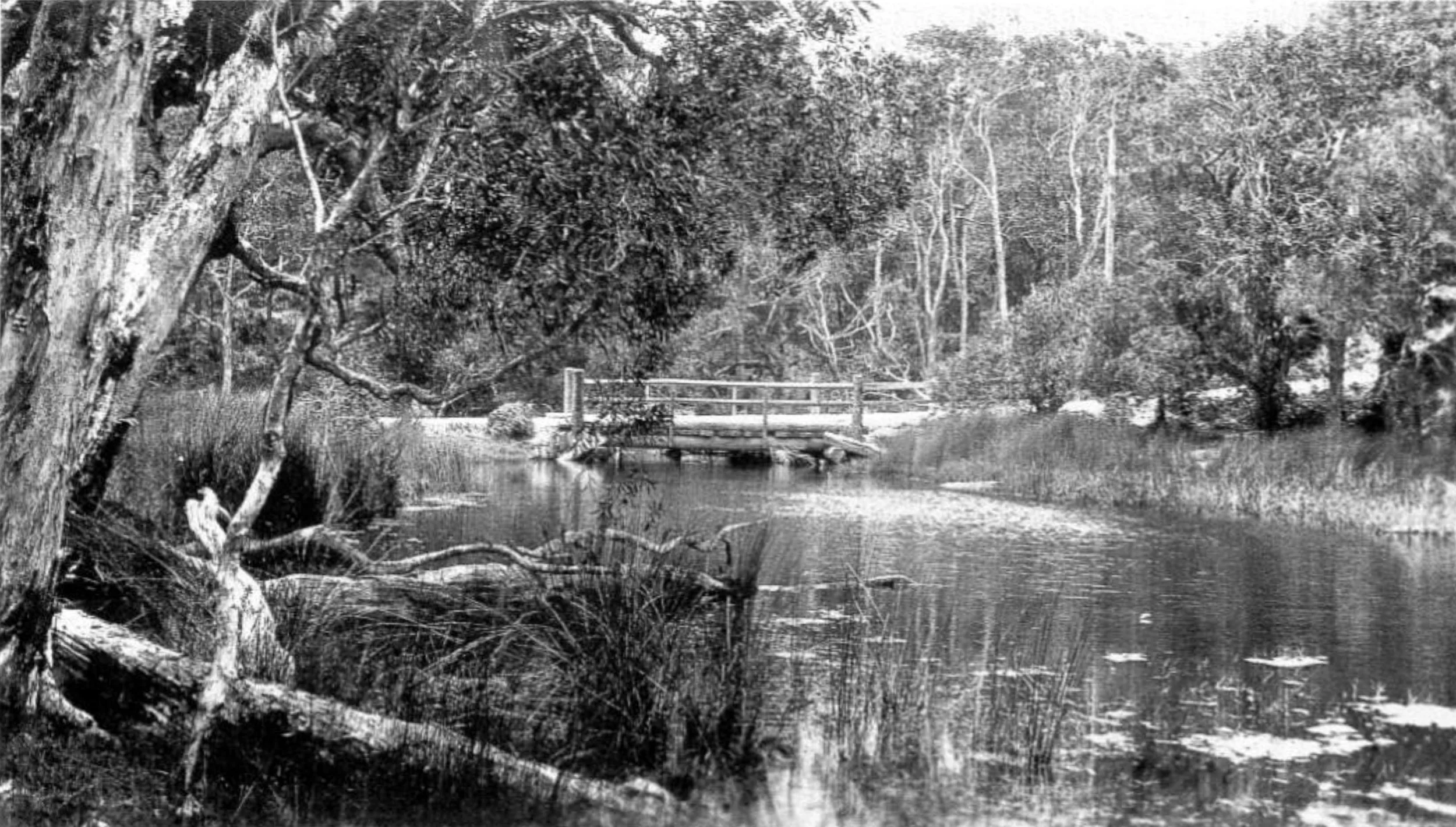 Kurilpa: The Story Beneath the Bridges – A Cultural Landscape of the ...