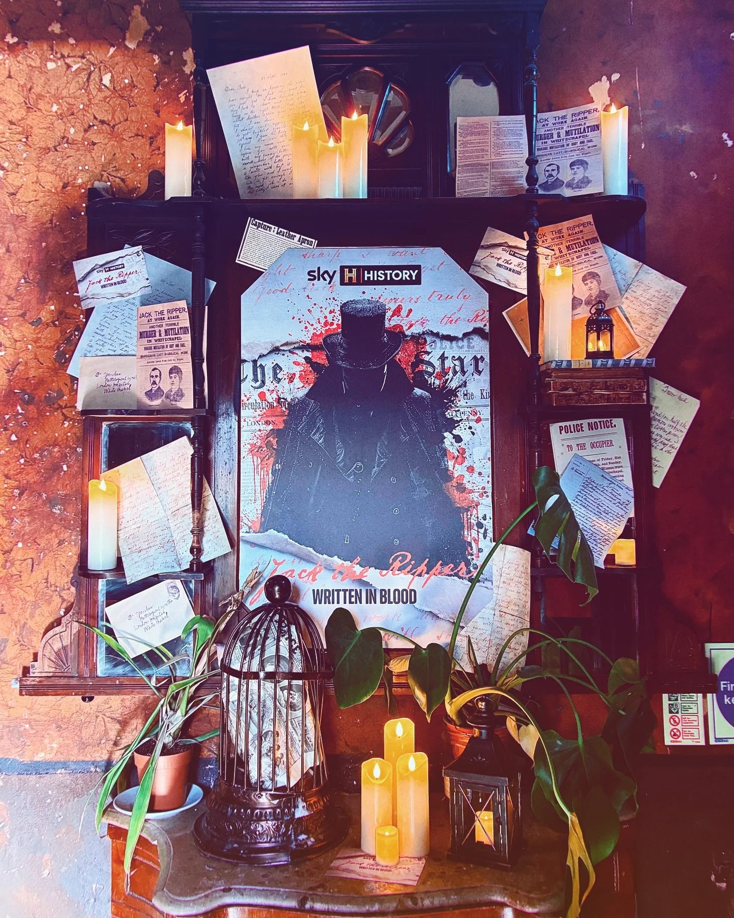 About 5 — DR FERN RIDDELL