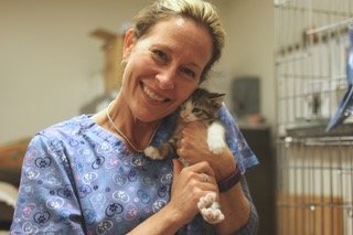 About — Liberty Dogs