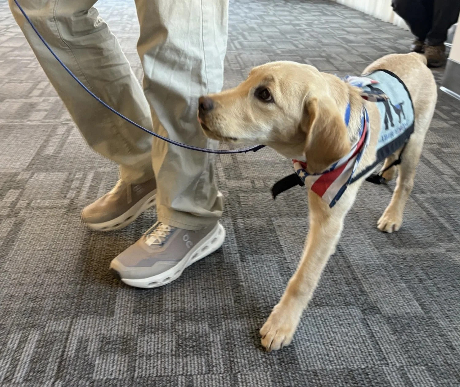 General 4 — Liberty Dogs