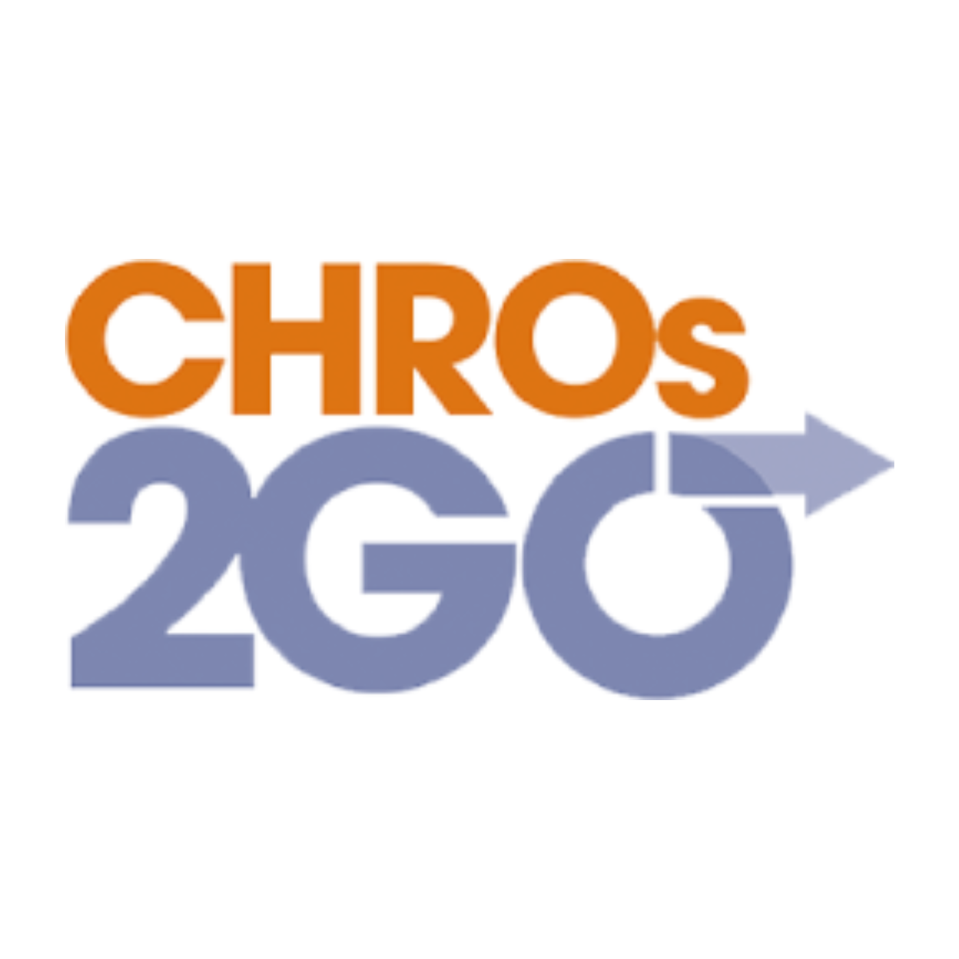 Fractional CFO, COO, CHRO, CIO Services | 2Go Advisory