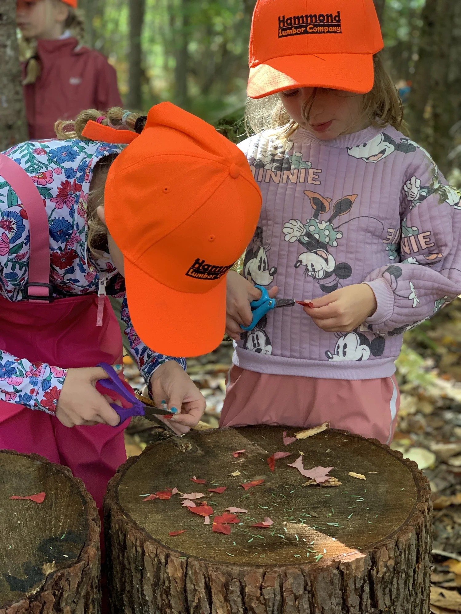 Maine Early Childhood Outdoors | Explore Outdoor Learning Now