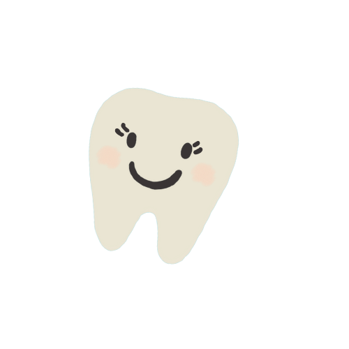 “When Should My Cub Have Their First Dental Check? “ — Molar Bears ...