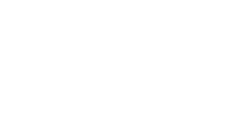 Lawson's Estate on Macquarie Farm | Central West NSW