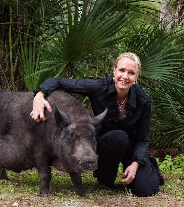 Farm Animal Sanctuary in Englewood, Florida – Fandango Sanctuary