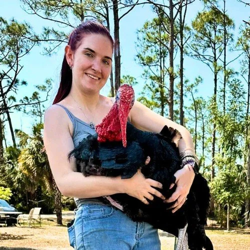 Farm Animal Sanctuary in Englewood, Florida – Fandango Sanctuary