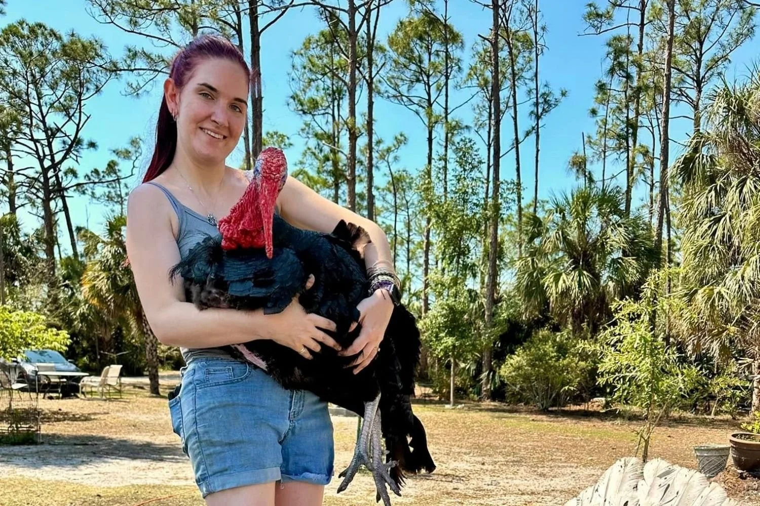 Volunteer: Care for Rescued Farm Animals - Fandango Sanctuary