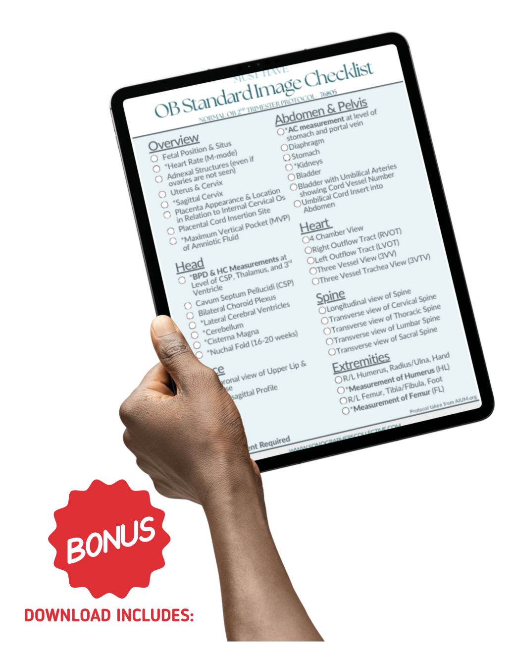 Anatomy Scan: Quick Reference Image Checklist — Sonographers Collective