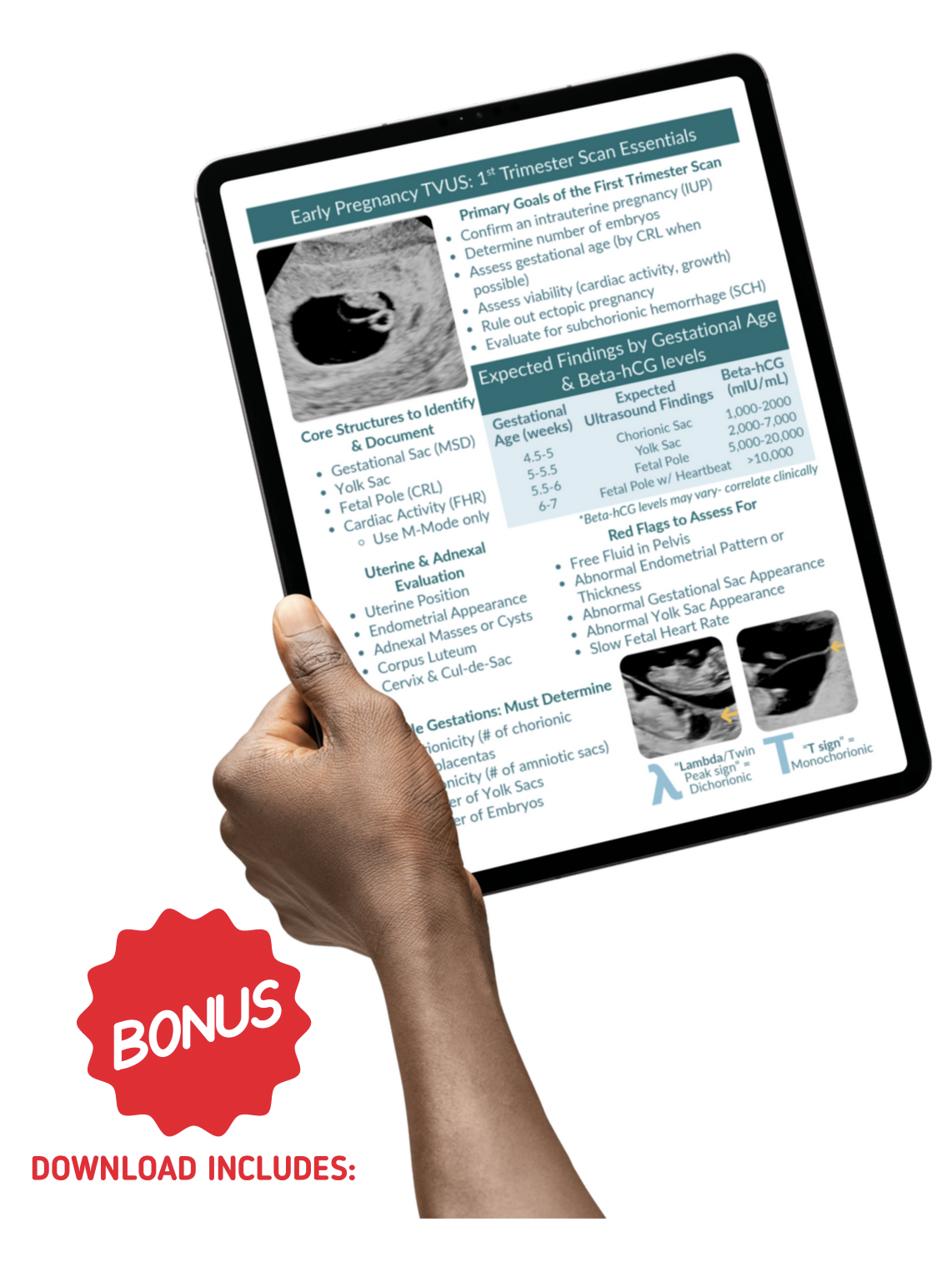 Anatomy Scan: Quick Reference Image Checklist — Sonographers Collective