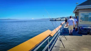 THINGS TO DO — Explore Edmonds