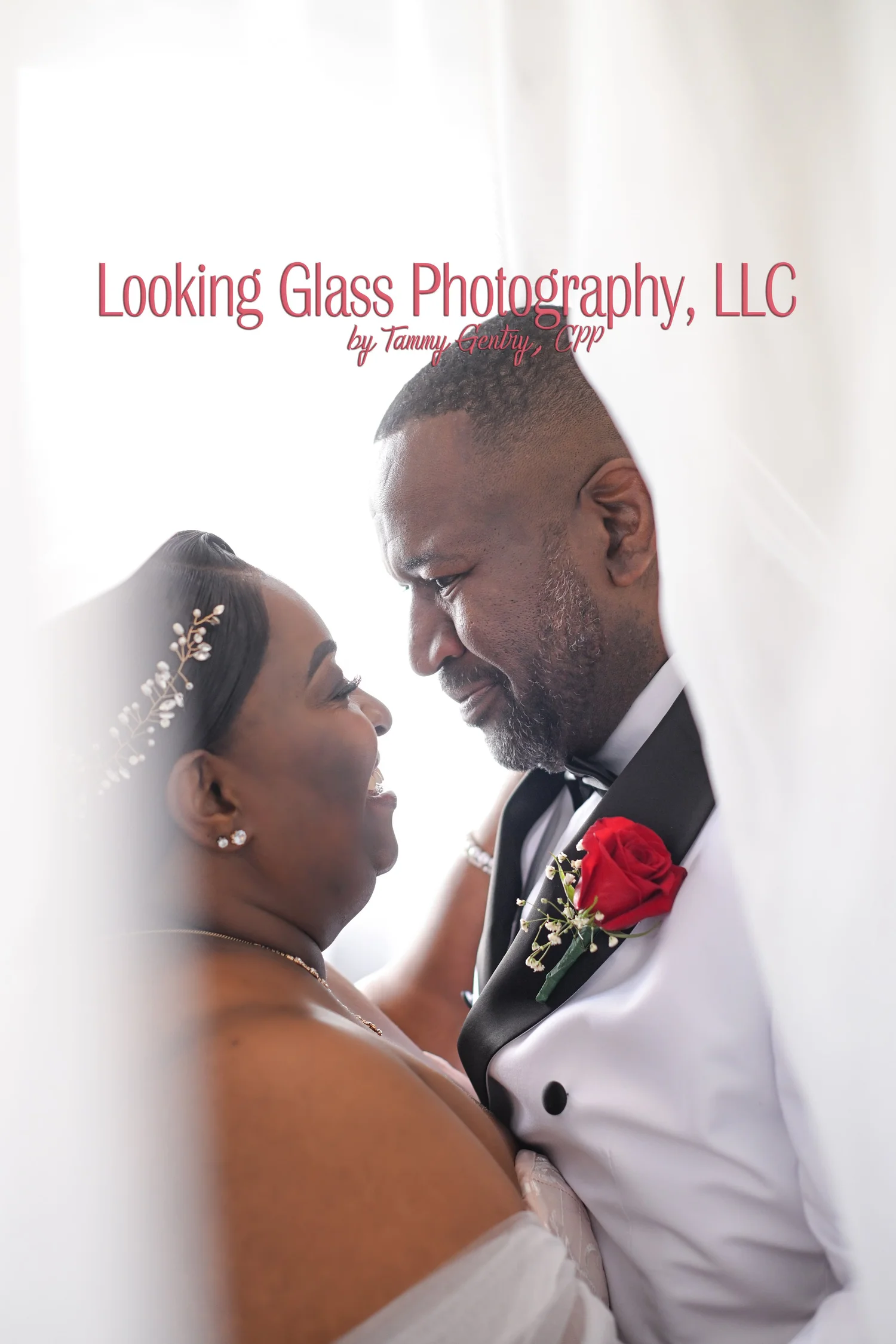 Looking Glass Photography by Tammy Gentry, LLC