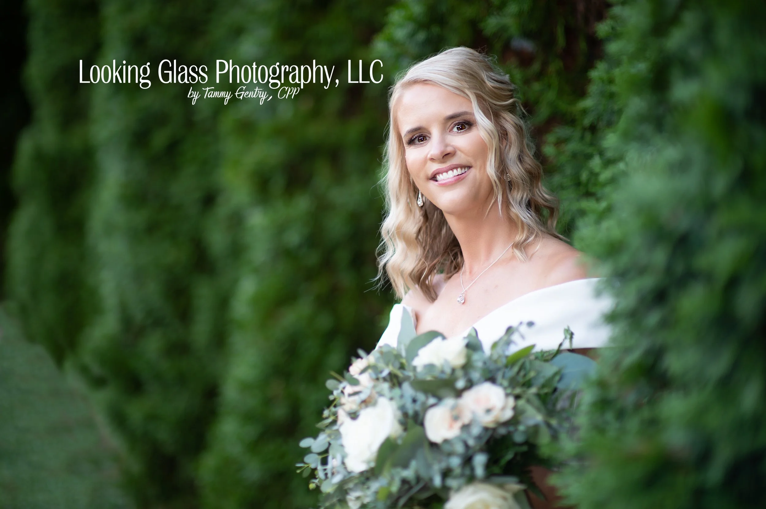 Looking Glass Photography by Tammy Gentry, LLC