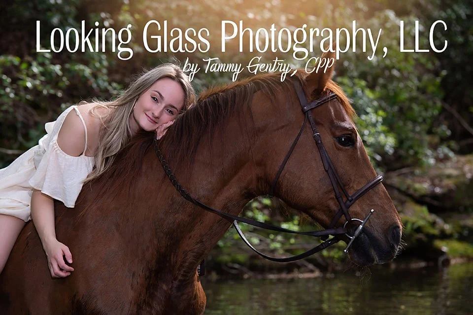 Looking Glass Photography by Tammy Gentry, LLC