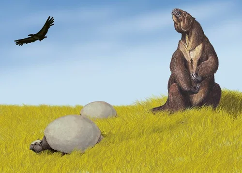 Love avocados? Thank the Giant ground sloths! — The Sloth Conservation ...