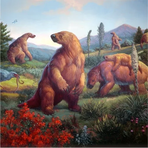 The Etymology of Sloths' Names — The Sloth Conservation Foundation
