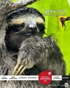 Endangered Sloths — The Sloth Conservation Foundation