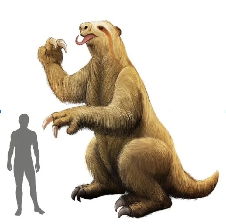 Mylodon Giant Sloth, opportunistic omnivore? — The Sloth Conservation ...