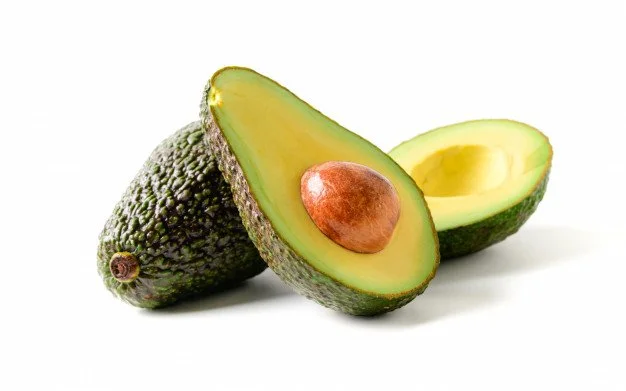 Love avocados? Thank the Giant ground sloths! — The Sloth Conservation ...