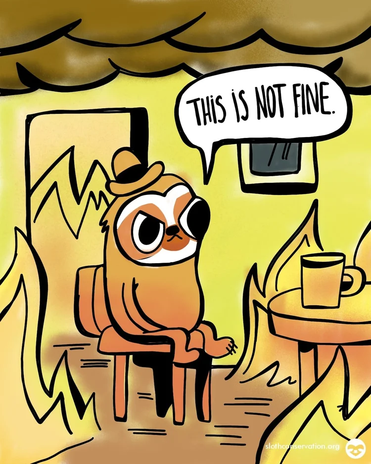 Best Sloth Memes — The Sloth Conservation Foundation