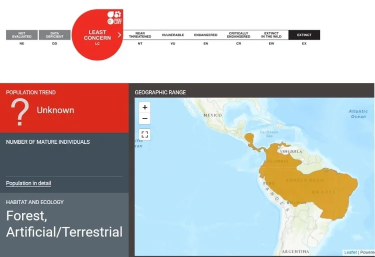 How Concerning is “Least Concern”? Sloths and the IUCN Red List — The ...