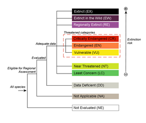 How Concerning is “Least Concern”? Sloths and the IUCN Red List — The ...