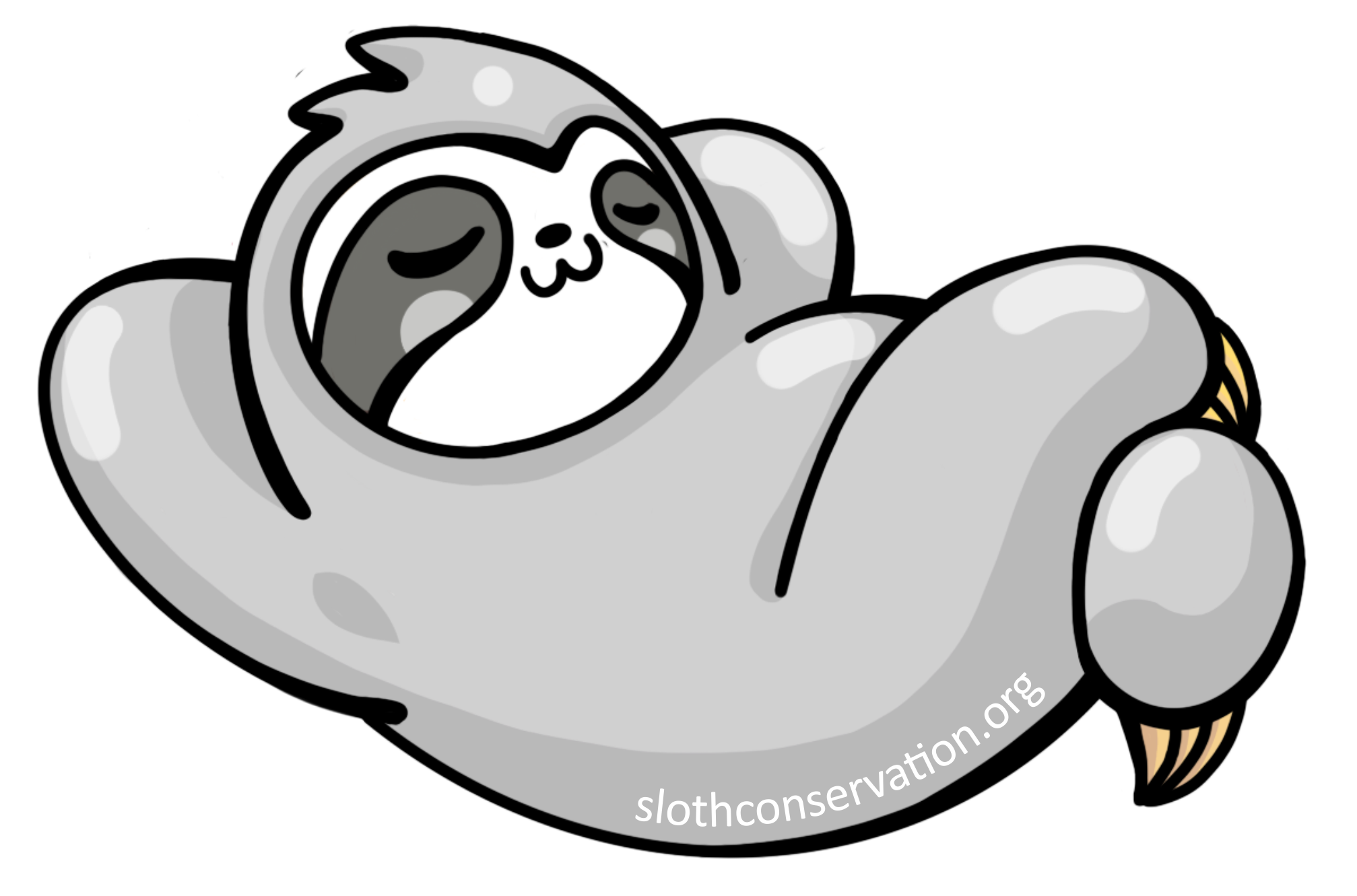 Celebrating International Sloth Day! — The Sloth Conservation Foundation