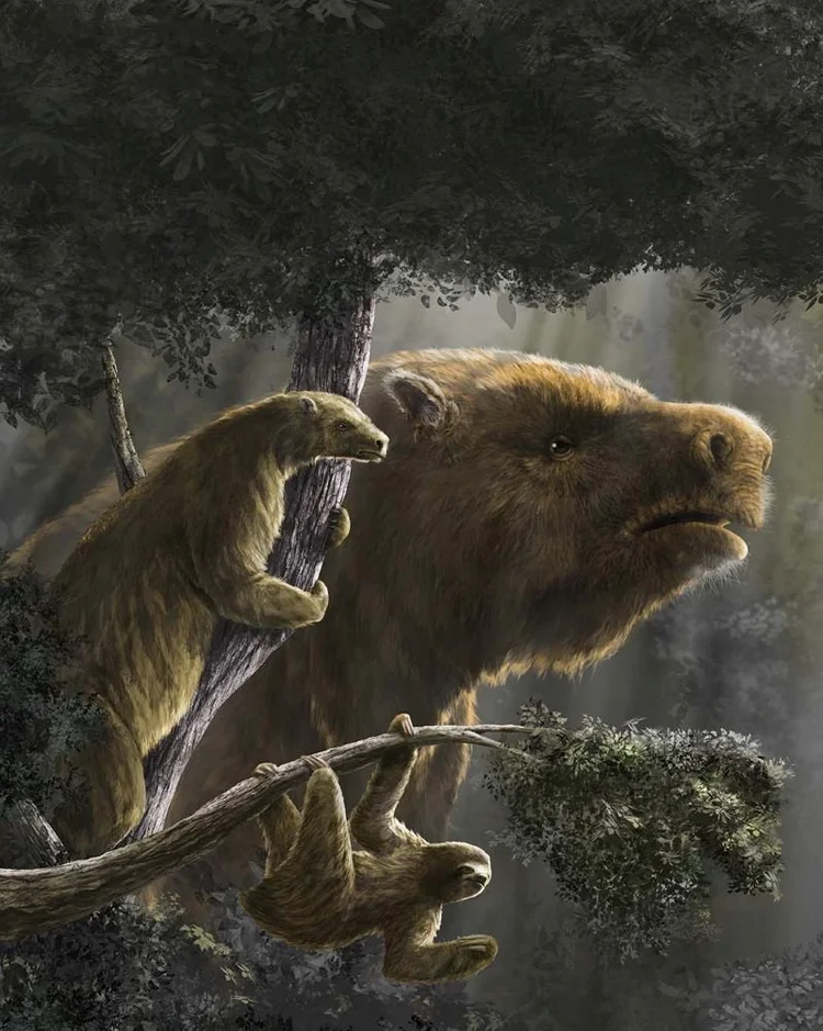 The Rise and Fall of the Giant Sloths — The Sloth Conservation Foundation