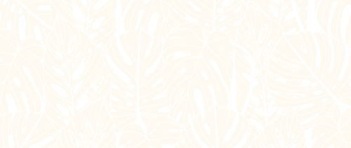 Endangered Sloths — The Sloth Conservation Foundation