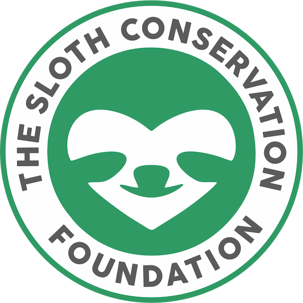 Endangered Sloths — The Sloth Conservation Foundation