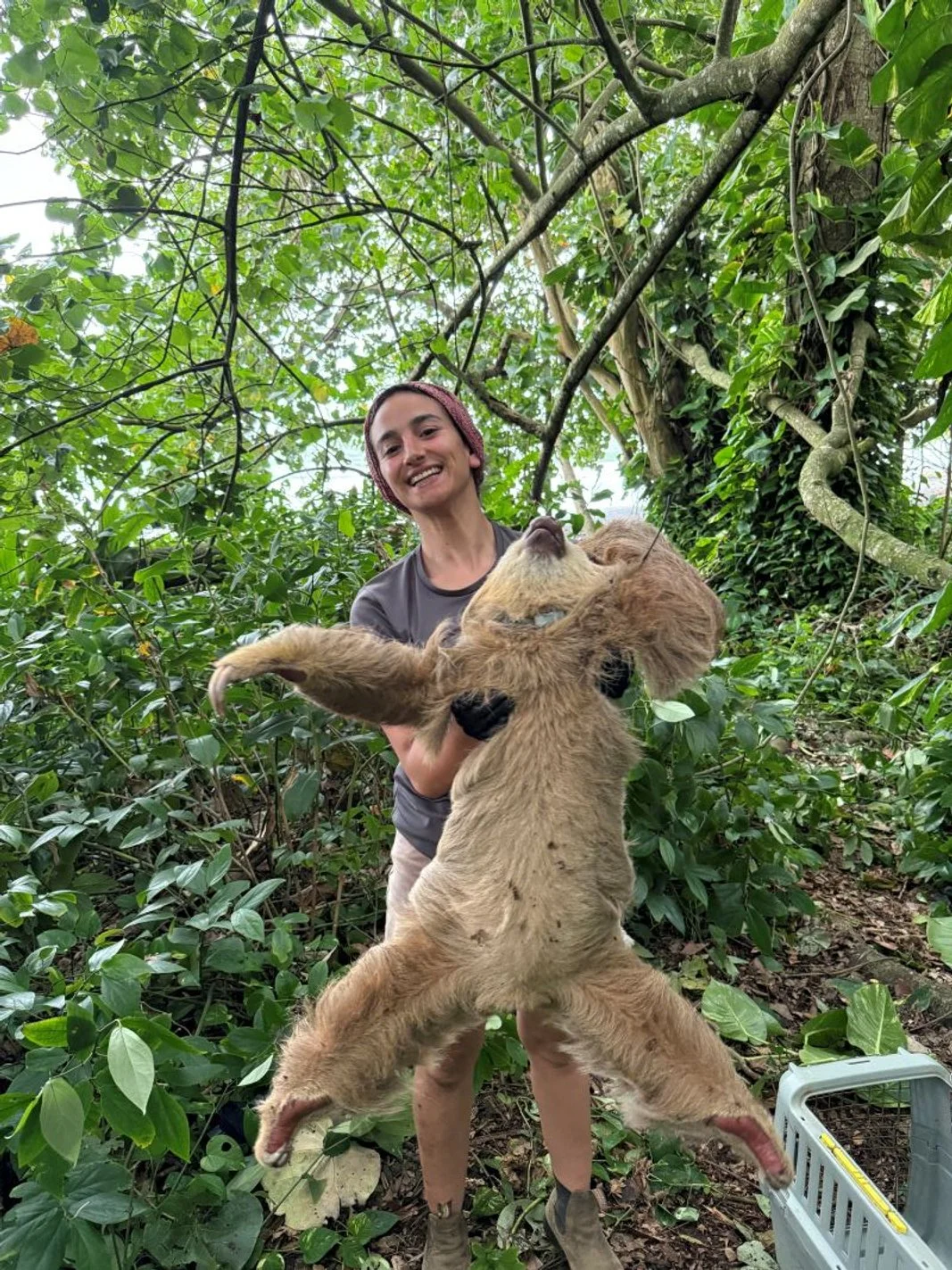 A Special Bridge for a Special Sloth | August 2025 — The Sloth ...