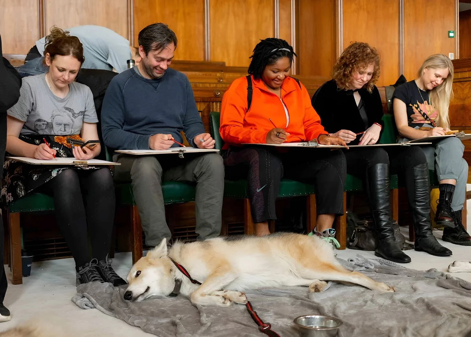 Our Story — WILD LIFE DRAWING