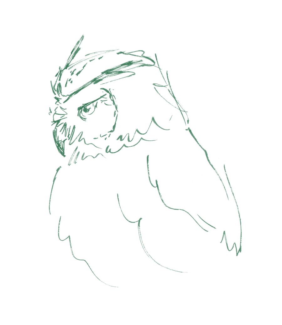 Our Story — WILD LIFE DRAWING