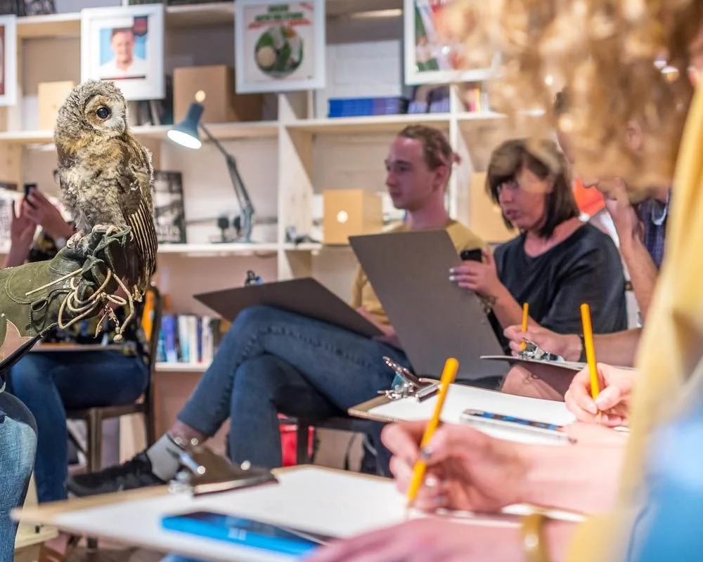 Our Story — WILD LIFE DRAWING