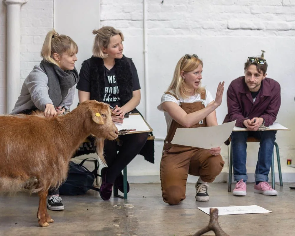 Our Story — WILD LIFE DRAWING