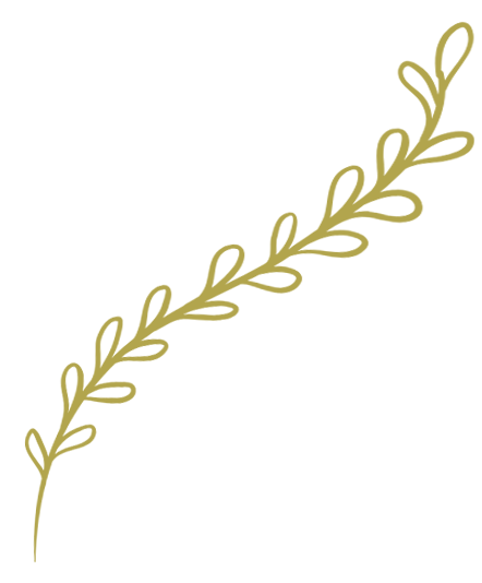 Kent Mitigation | Explore Sustainable Credits Today