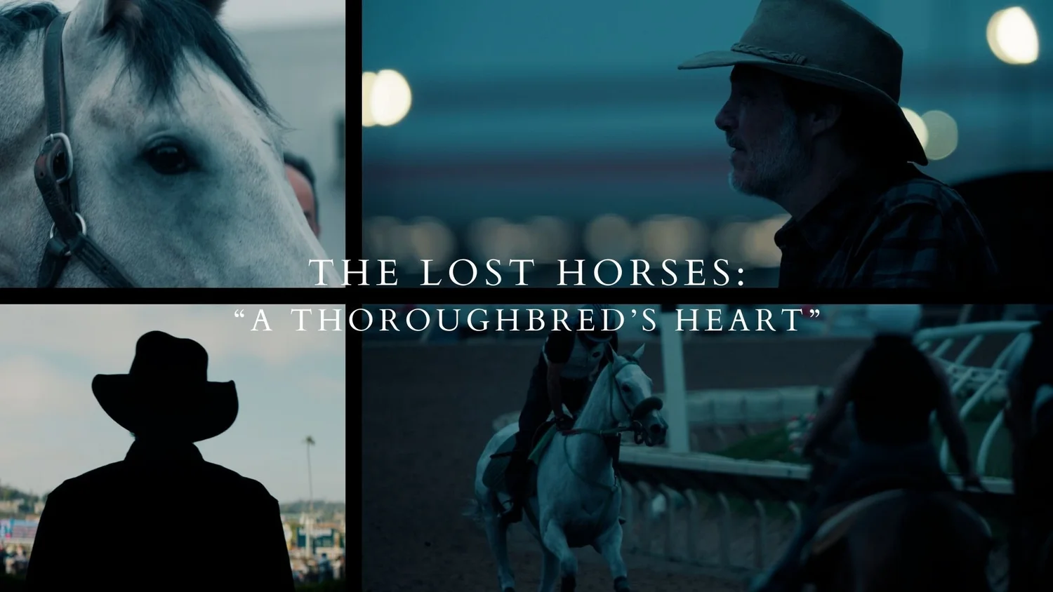 THE CAMPAIGN — The Lost Horses