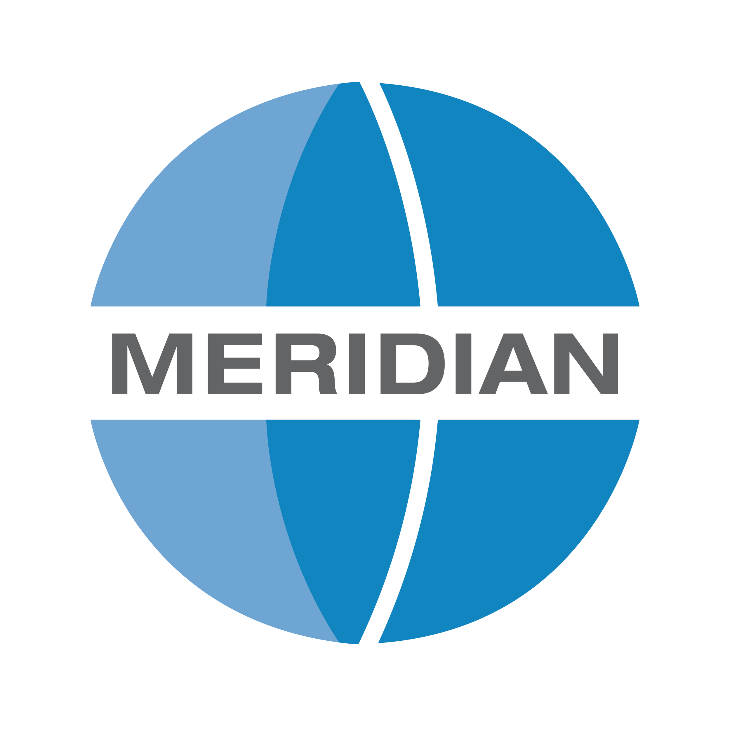 Meridian International Leadership Institute | Join Global Leaders Today
