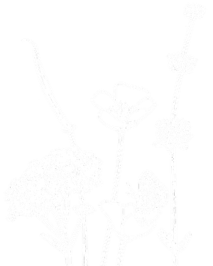 Garden for the Environment | Join Our Garden Community