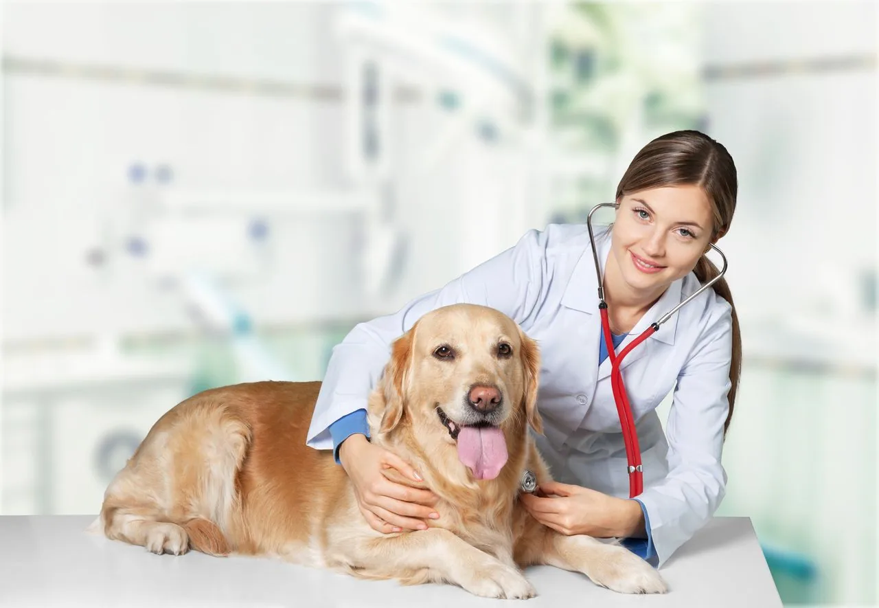 Big Fix Clinic — MS SPAN