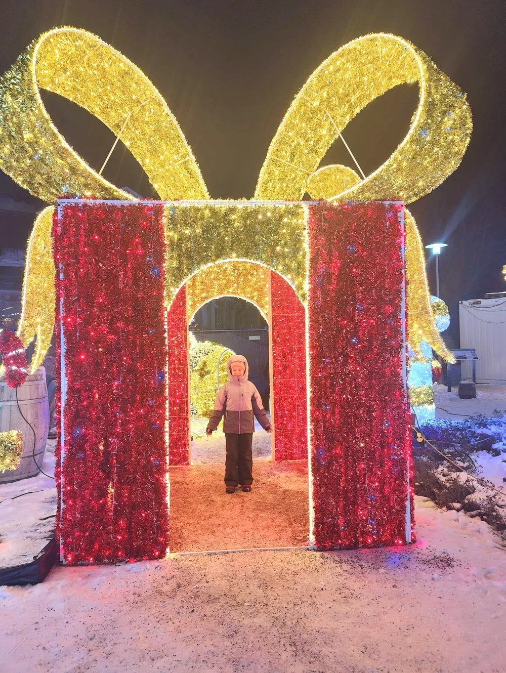Arctic Fantasy Park | Discover Winter Magic – Book Your Visit Today