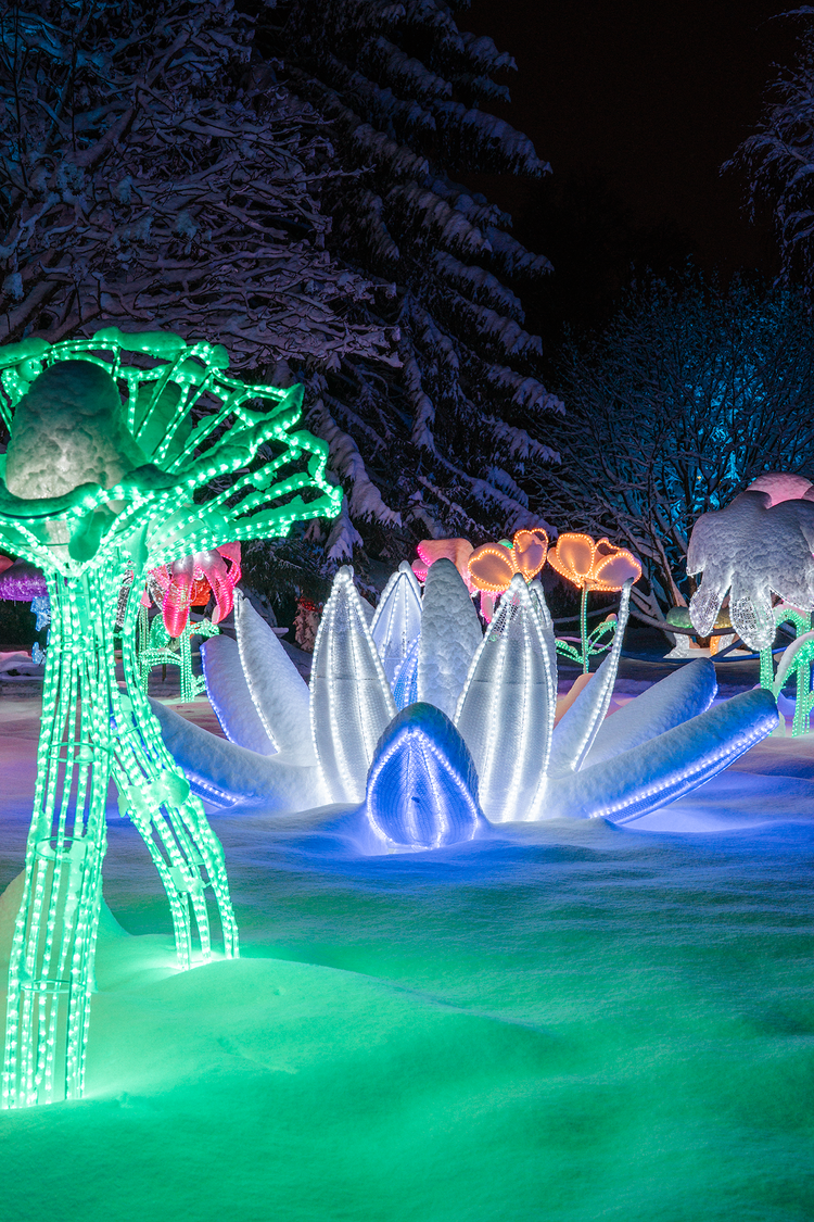 Arctic Fantasy Park | Discover Winter Magic – Book Your Visit Today