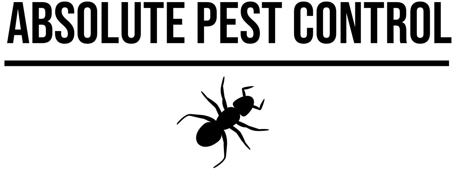 Absolute Pest Control LLC | Get Effective Pest Protection Now