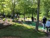 Traditions Mini Golf