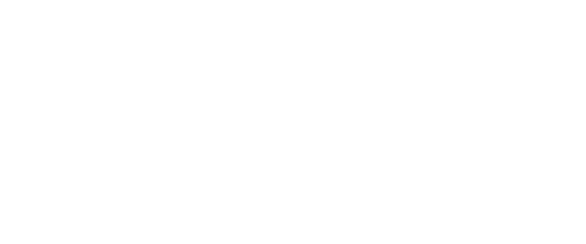 RIZER